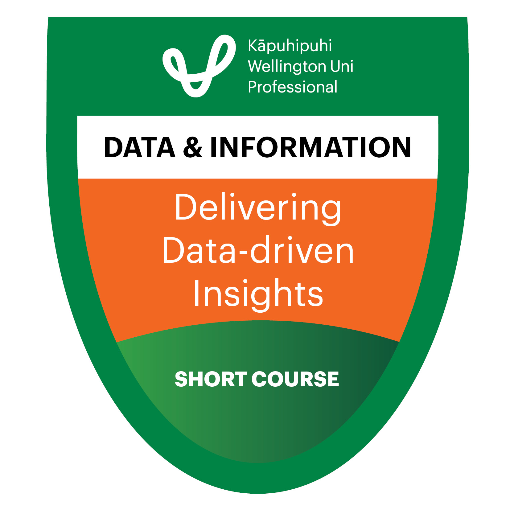 Delivering Data-driven Insights - Wellington Uni Professional Learning